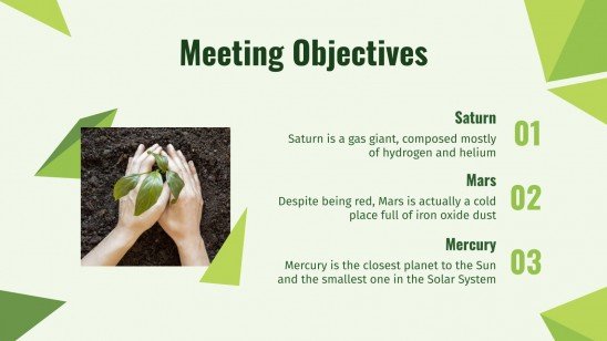 Environment Protection Meeting Google Slides and PPT template