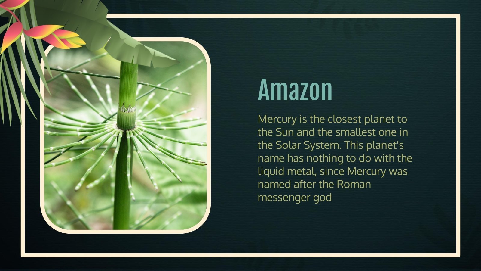 Amazon Rainforest Deforestation Awareness | Google Slides