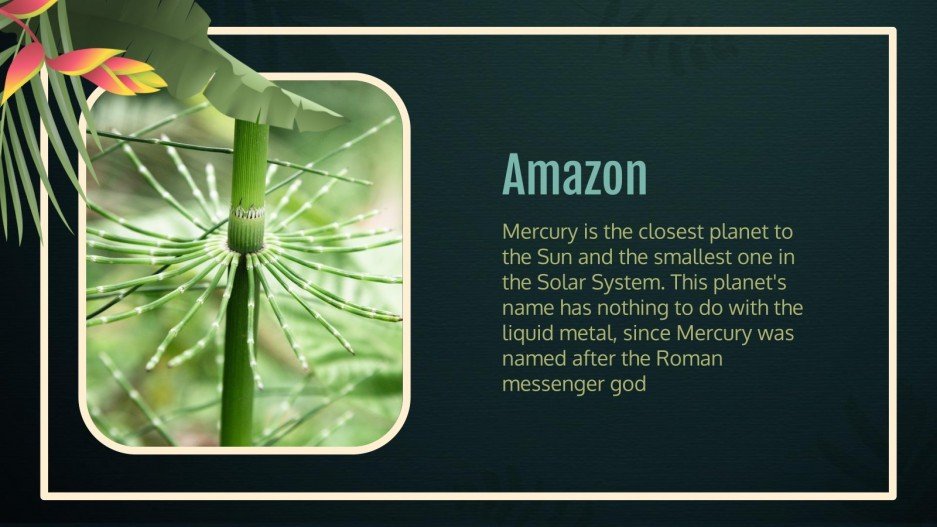 Amazon Rainforest Deforestation Awareness | Google Slides