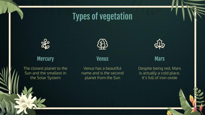 Amazon Rainforest Deforestation Awareness | Google Slides
