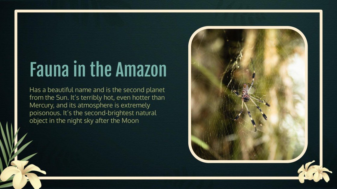 Amazon Rainforest Deforestation Awareness | Google Slides