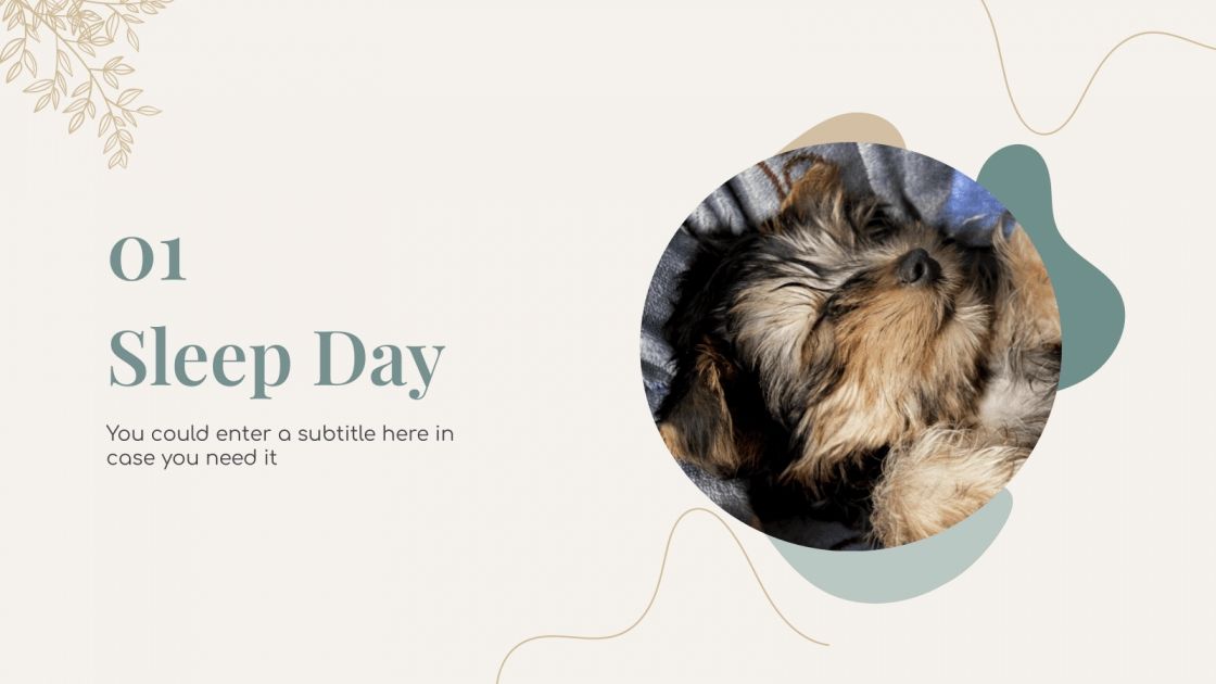 Sleep Day Appreciation Google Slides & PowerPoint template