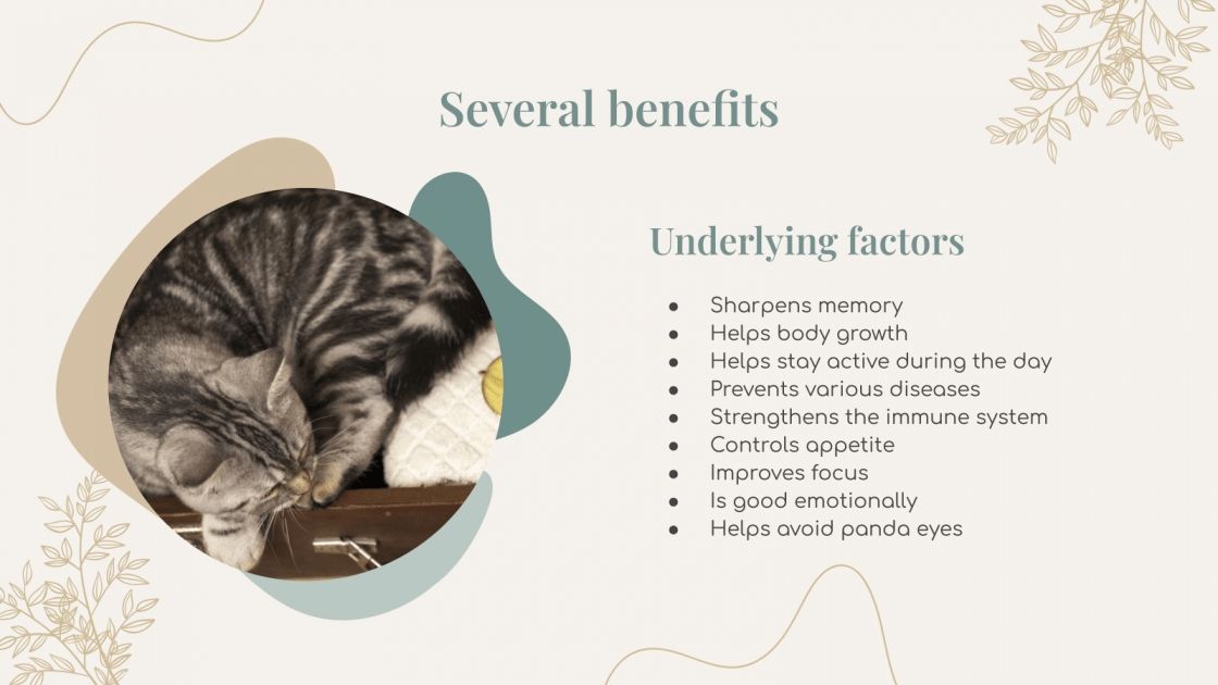 Sleep Day Appreciation Google Slides & PowerPoint template